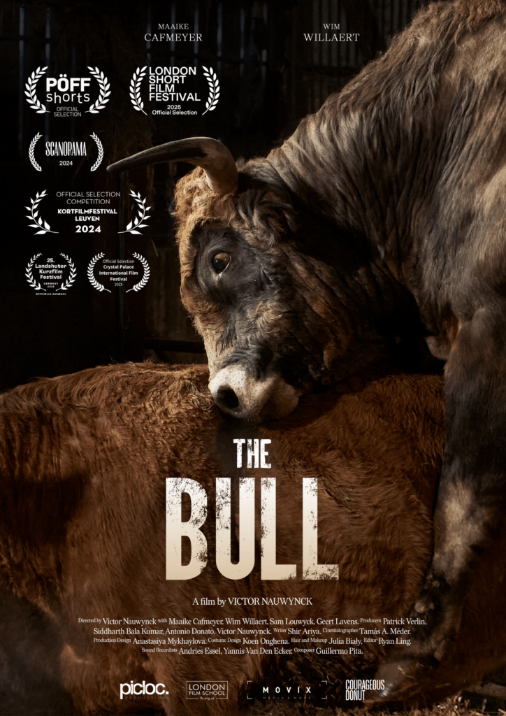 Short Film Review "The Bull" - One Film Fan